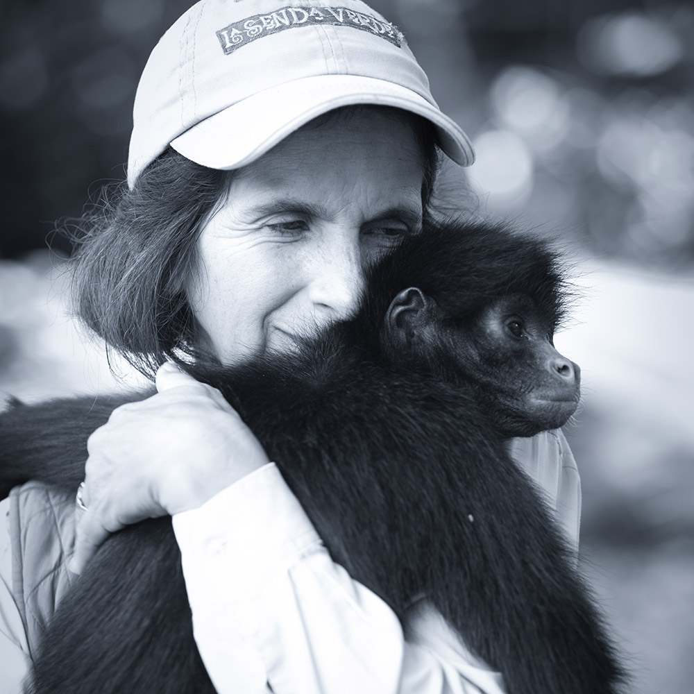 Visit – Senda Verde